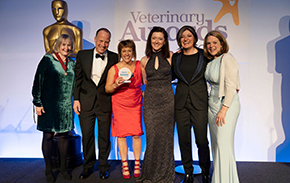 Petplan - Vet website