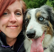 Petplan - Vet website