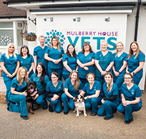 Petplan - Vet website