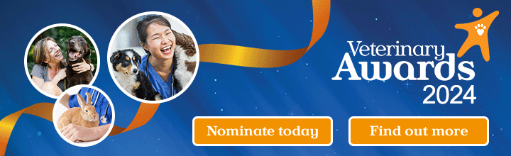 Petplan - Vet website